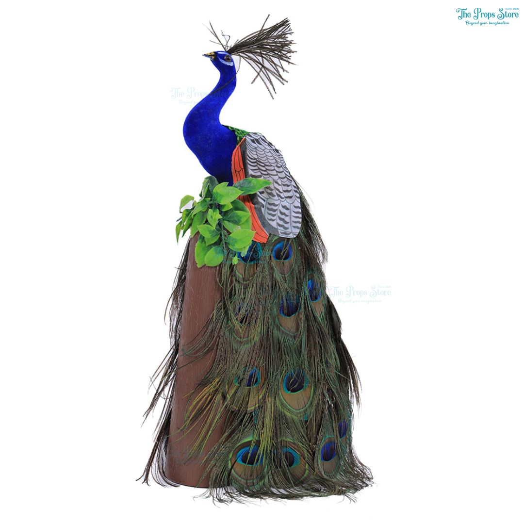 Decorative Peacock - The Props Store
